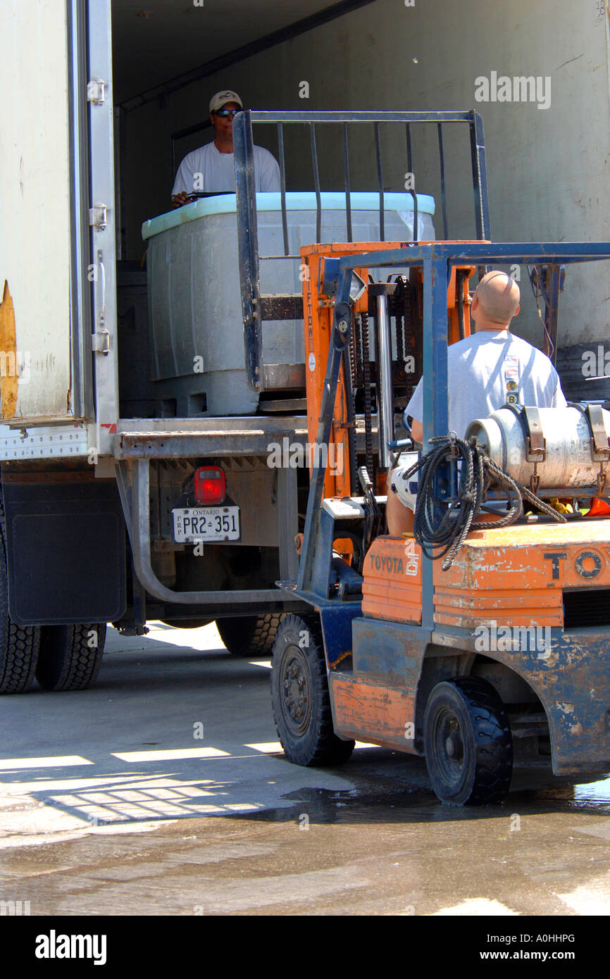 Fork complex hi-res stock photography and images - Alamy