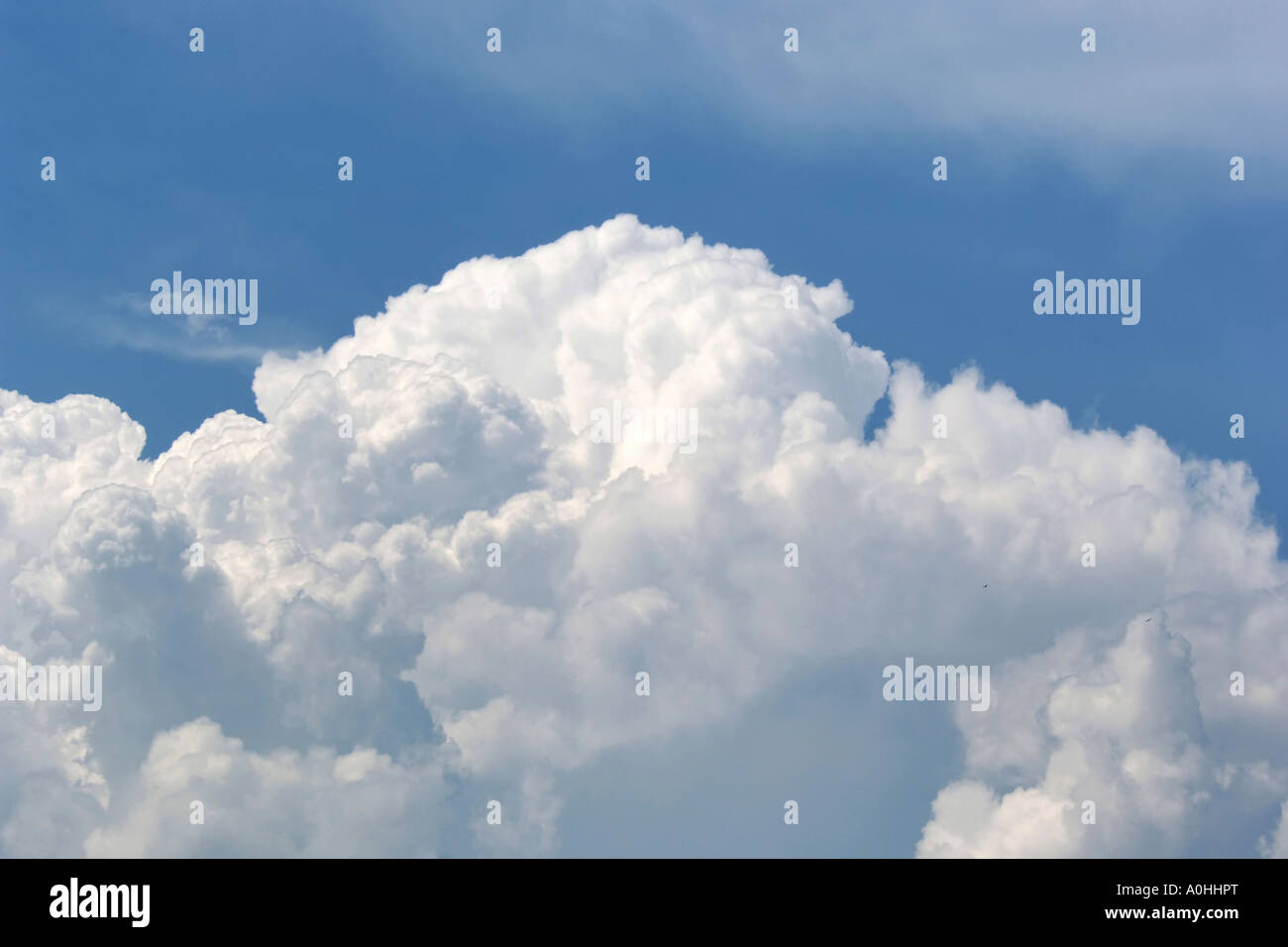 Gazing up to the skies hi-res stock photography and images - Alamy