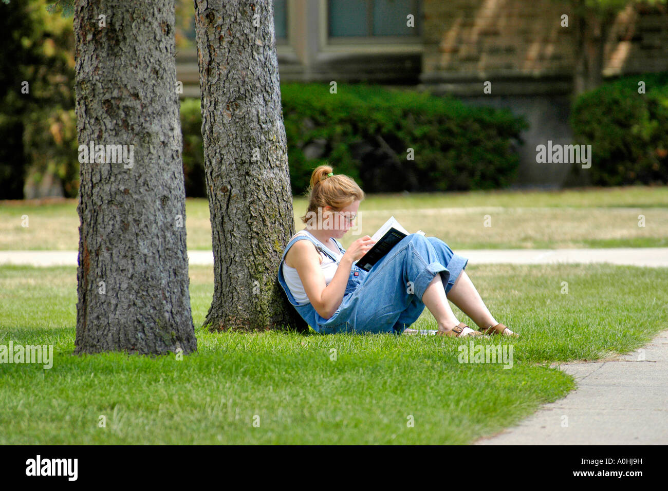 Usa reading under a tree hi-res stock photography and images - Alamy