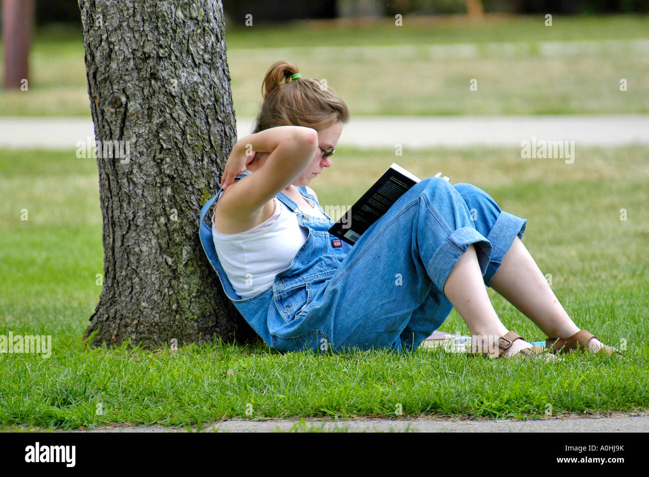 Female student sitting under a tree reading a book at the University of ...