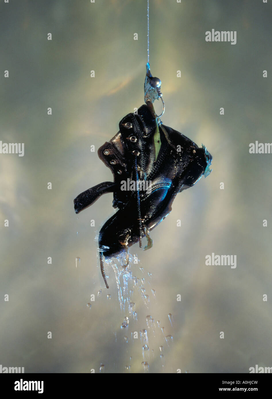 old boot caught on fishing line Stock Photo - Alamy