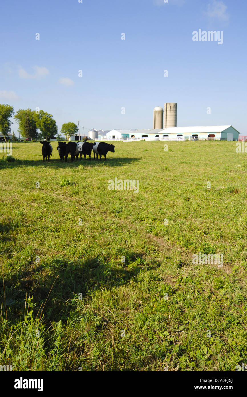 Wi dairy farm hi-res stock photography and images - Alamy