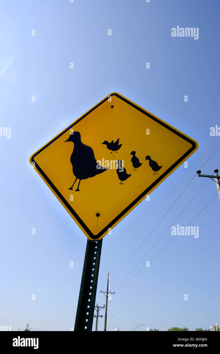 Road sign - Birds crossing Stock Photo - Alamy