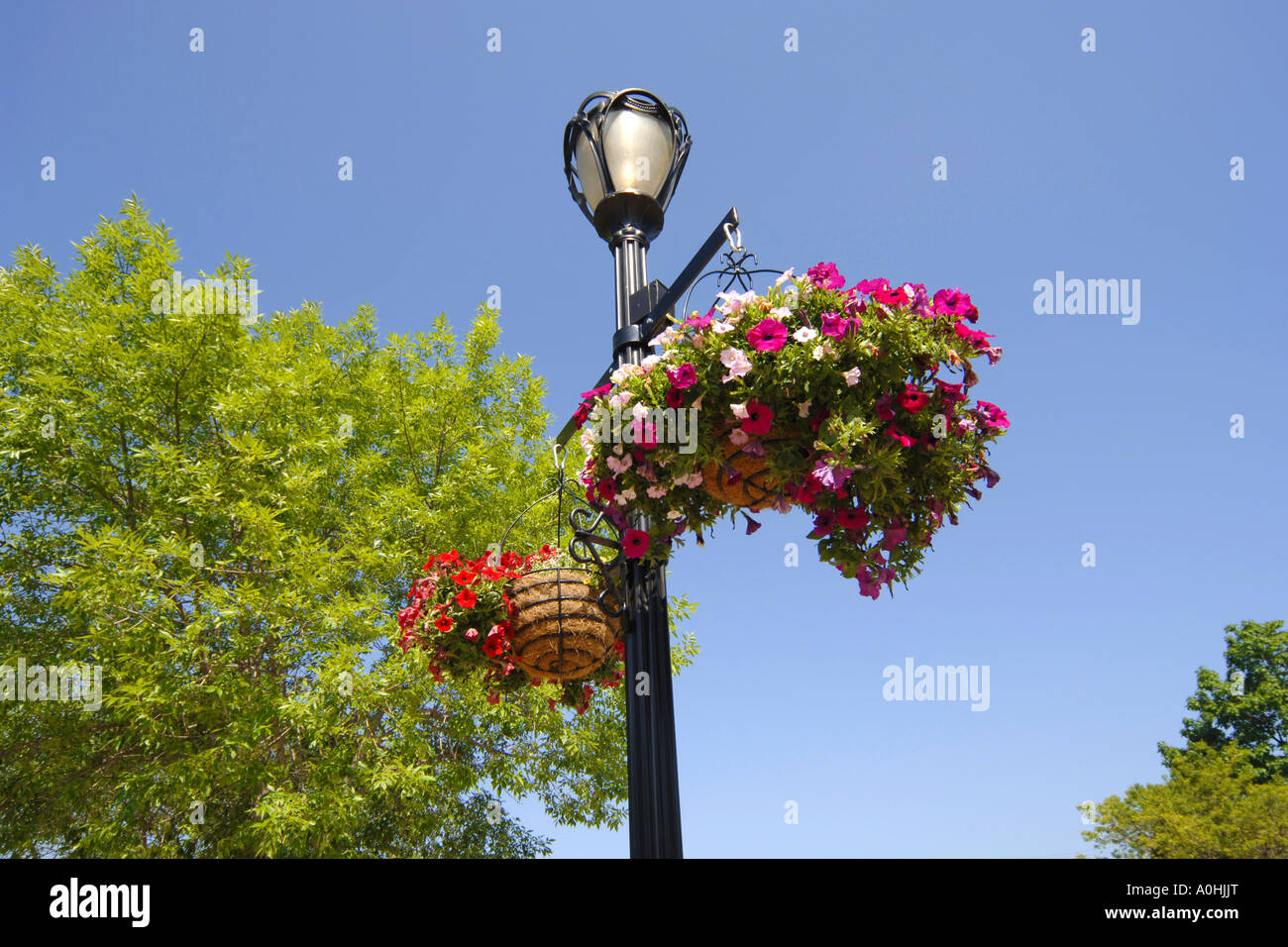 Lamp post two hanging baskets hi-res stock photography and images - Alamy