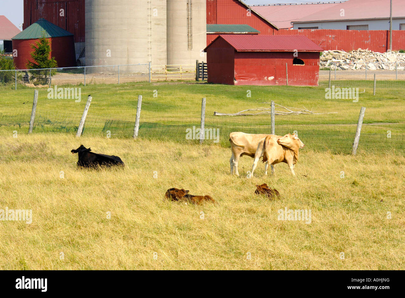 Indiana production hi-res stock photography and images - Alamy