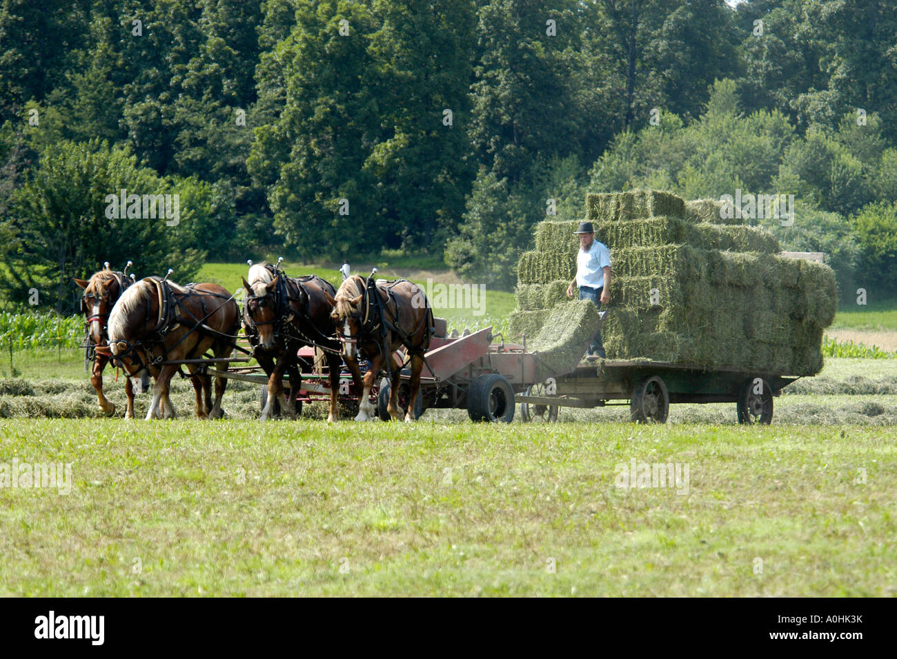 Mennonite men hi-res stock photography and images - Alamy