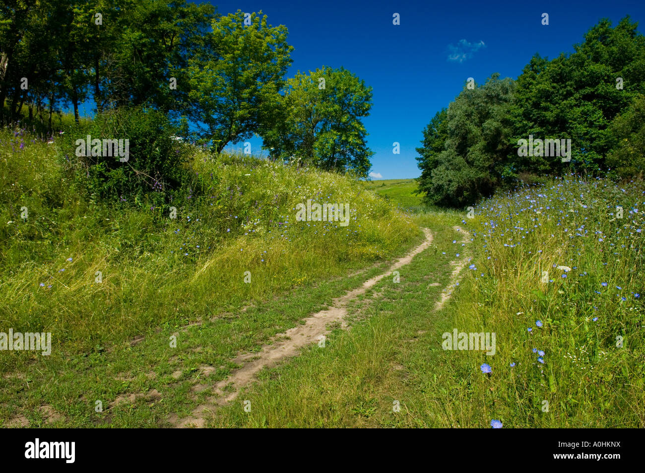 Countryside road in Sumy Oblast (Region) Ukraine Stock Photo - Alamy