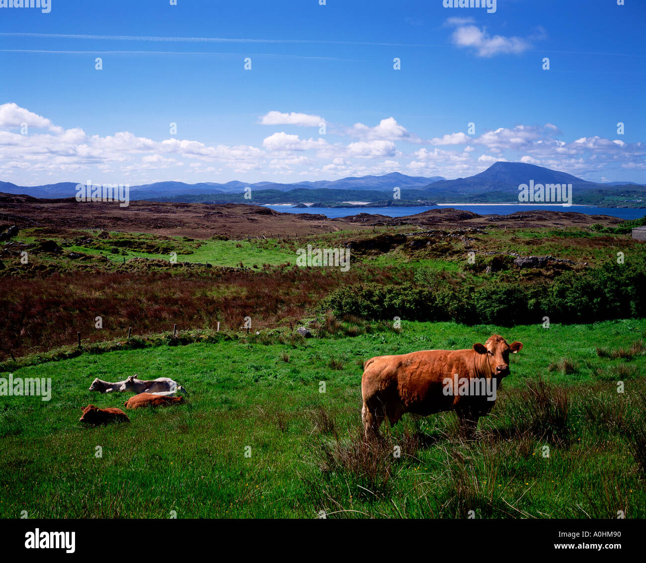 Downings co donegal ireland hi-res stock photography and images - Alamy