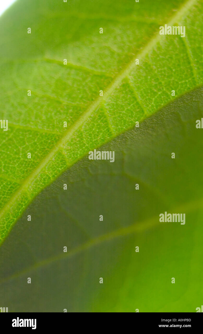 Simple two colour color image hi-res stock photography and images - Alamy