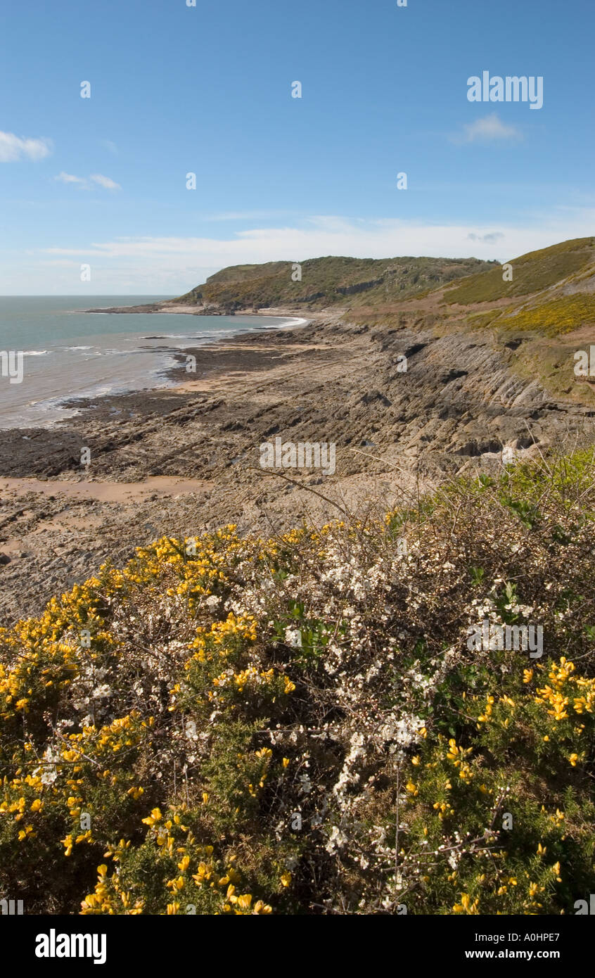 Towards Pwll du Bay on the Gower Peninsula Stock Photo - Alamy
