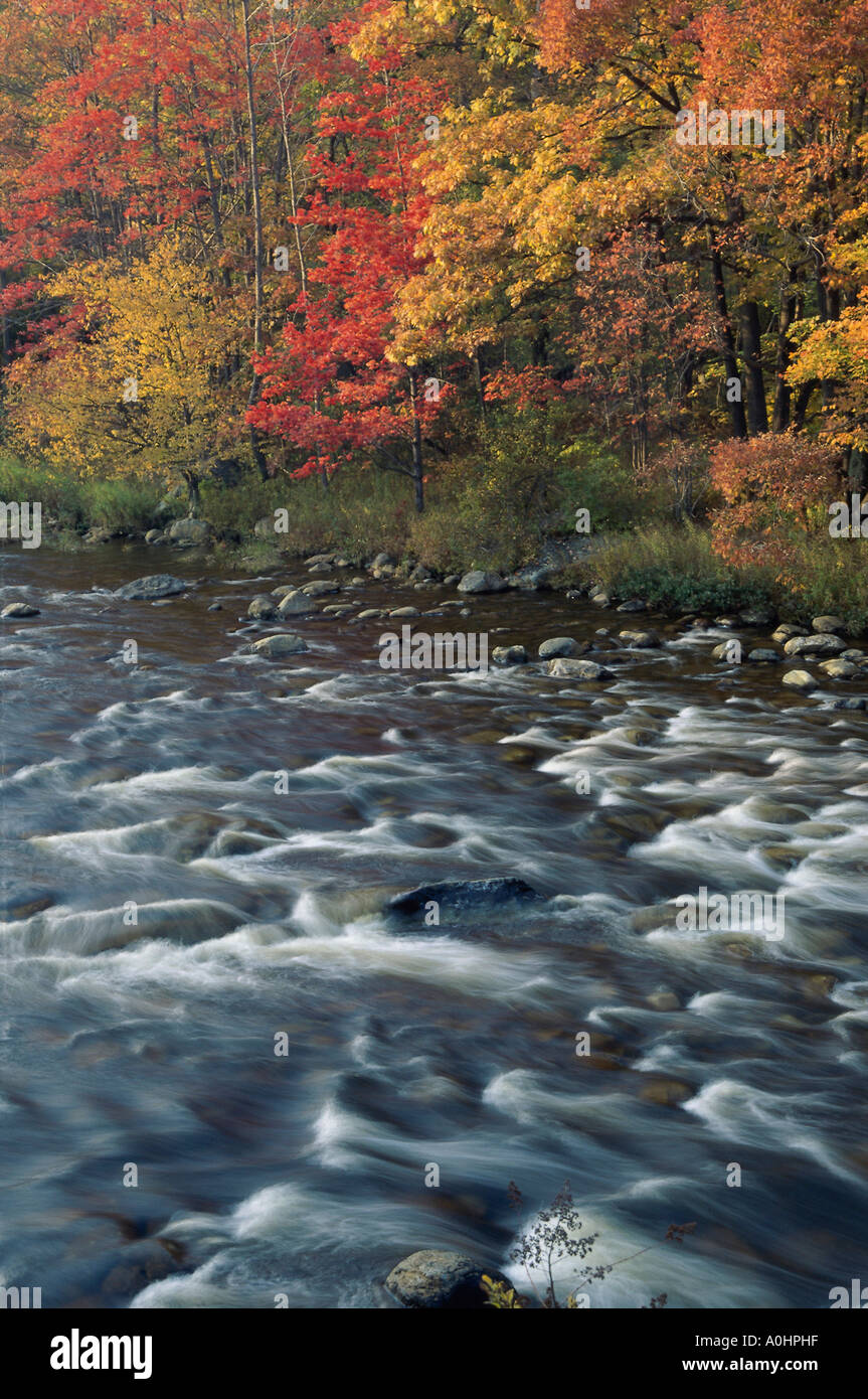 Mohawk Trail State Forest Massachusetts USA Stock Photo - Alamy