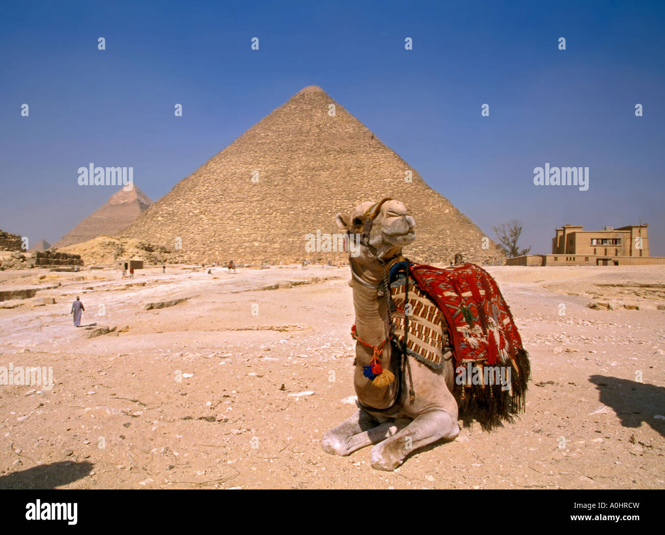 Pyramids nile gizeh egypt hi-res stock photography and images - Alamy