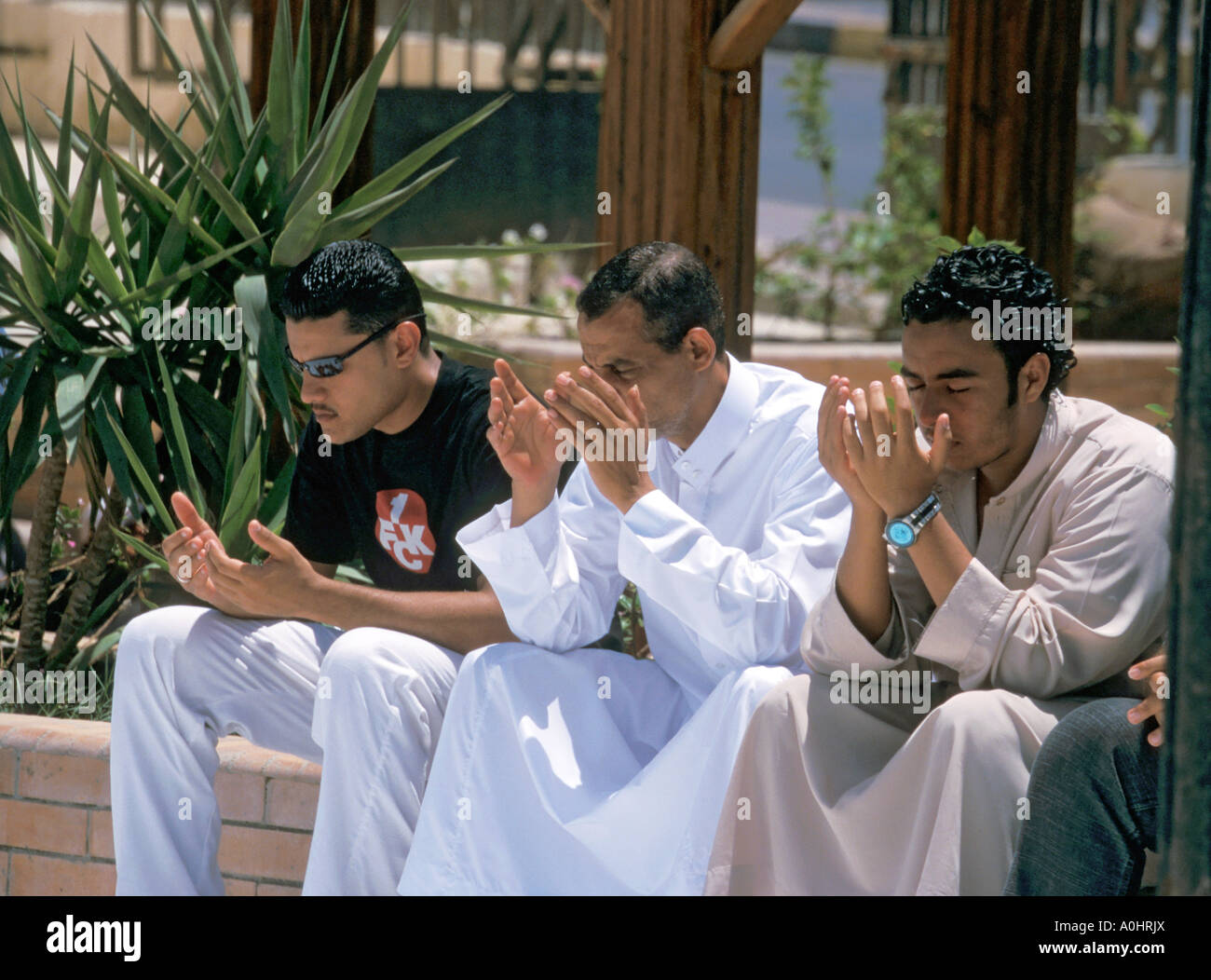 3 Islamic men praying Stock Photo - Alamy