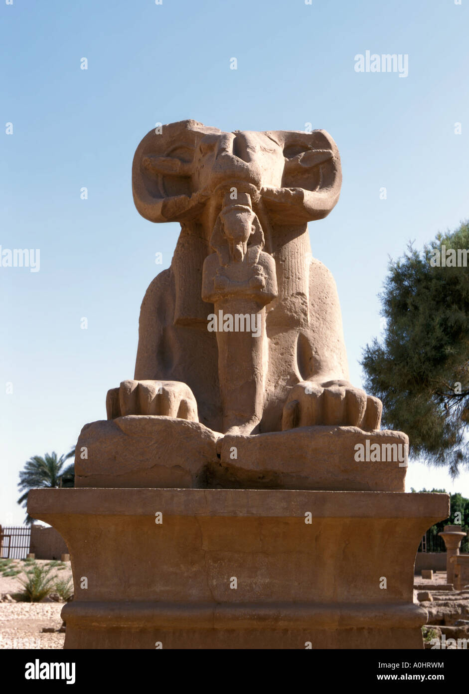 Sphinx restoration hi-res stock photography and images - Alamy