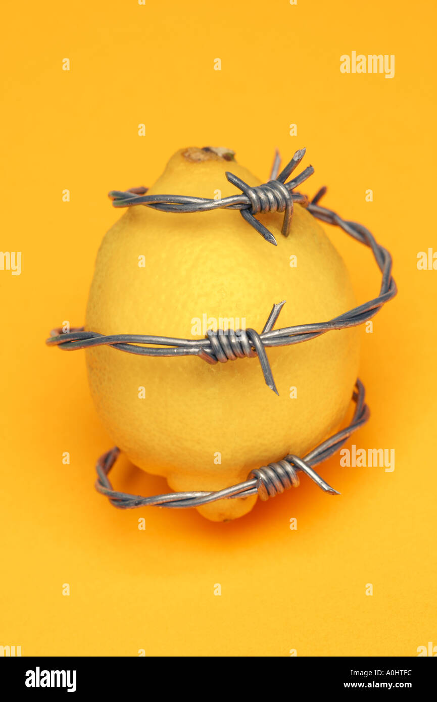 Lemon wrapped up in barbed wire Sore Throat Good Depth of Field Stock ...