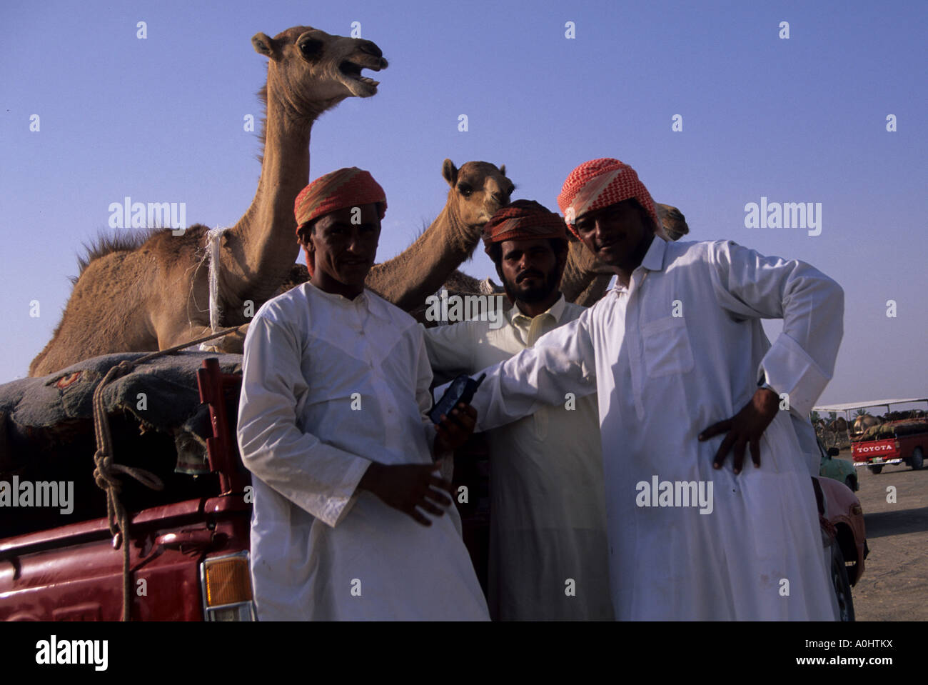 Uae Camel Desert High Resolution Stock Photography and Images - Alamy