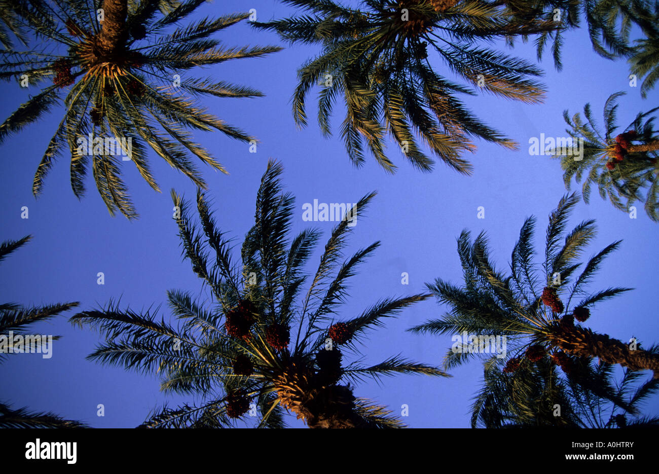 Many under the hi-res stock photography and images - Alamy