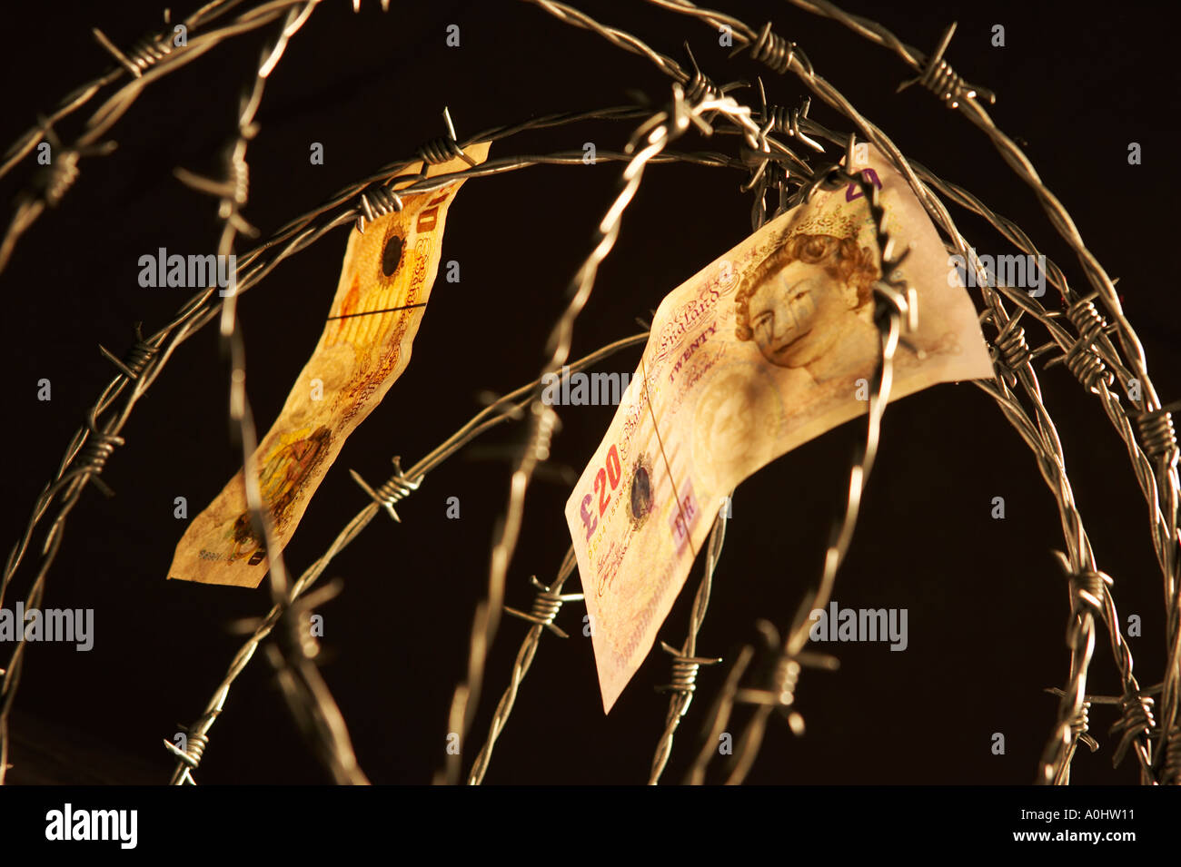 Money trapped in barbed wire Stock Photo - Alamy