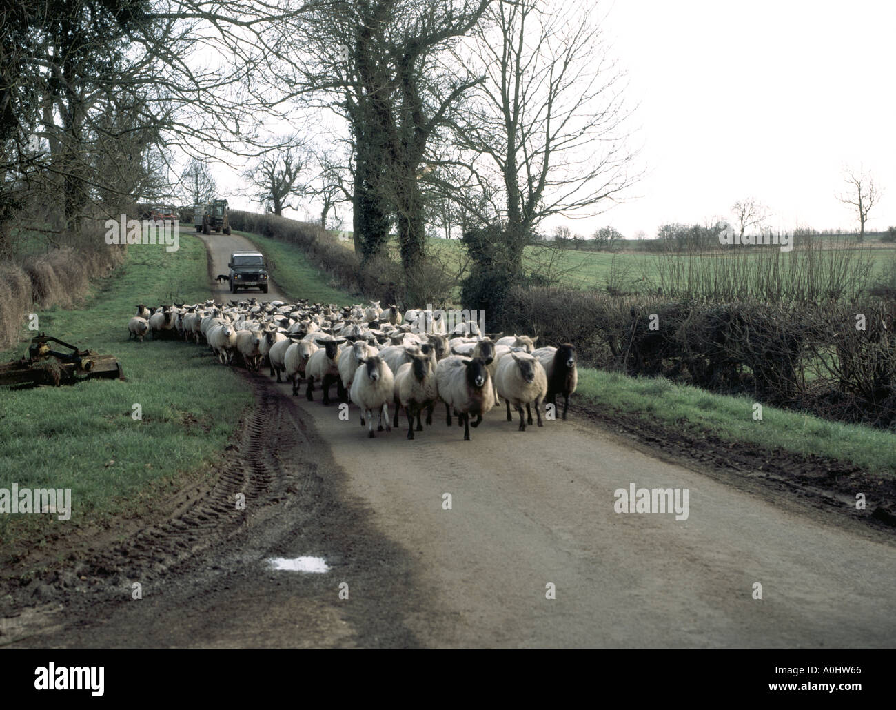 Country countryside lincolnshire hi-res stock photography and images ...