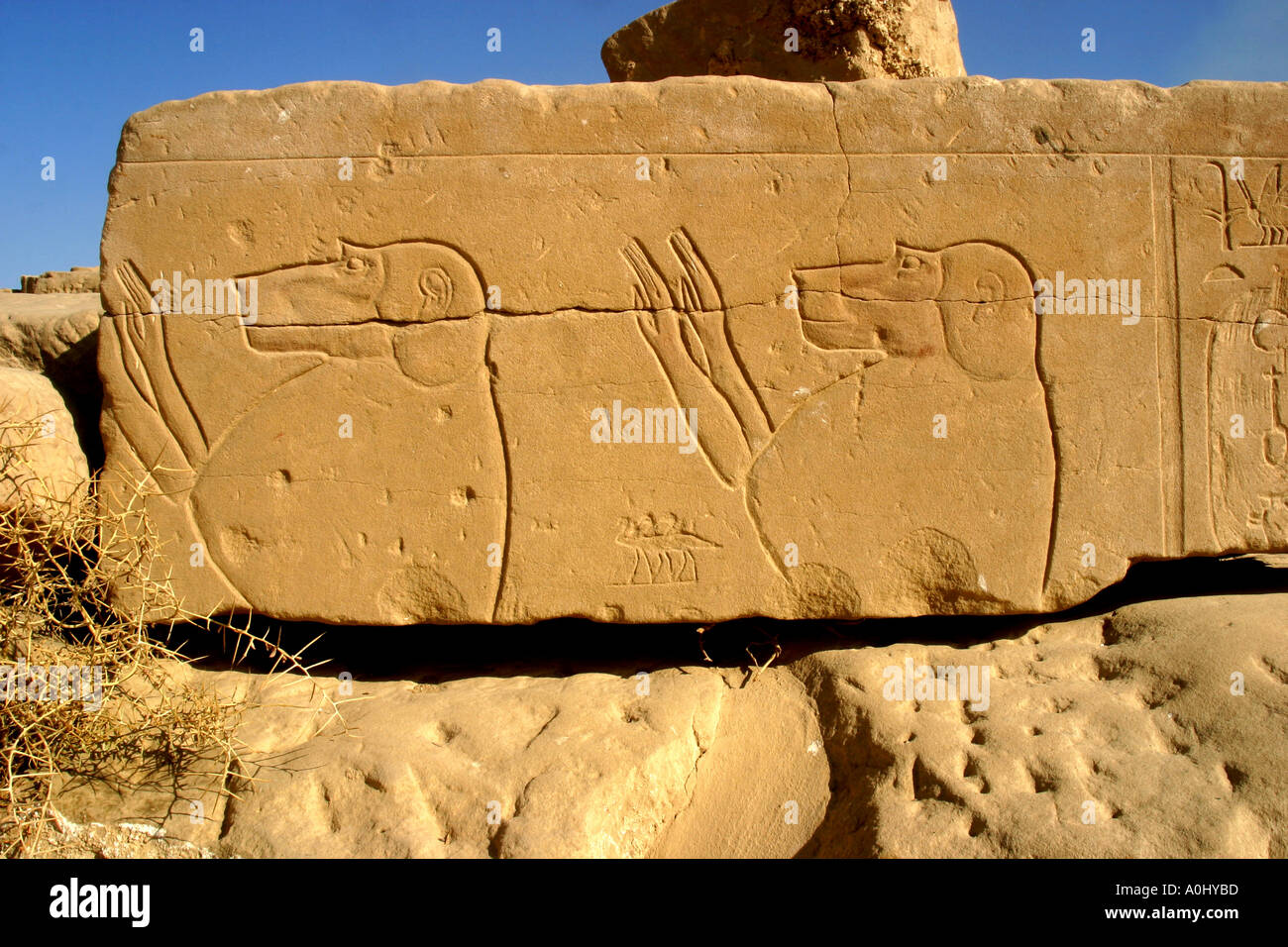 Egyptian hieroglyph baboon hi-res stock photography and images - Alamy