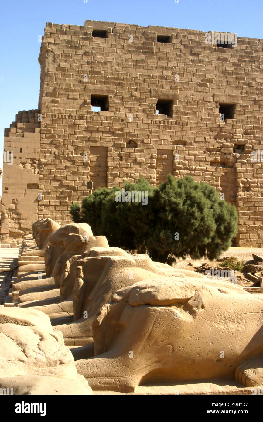 Lions pit history hi-res stock photography and images - Alamy