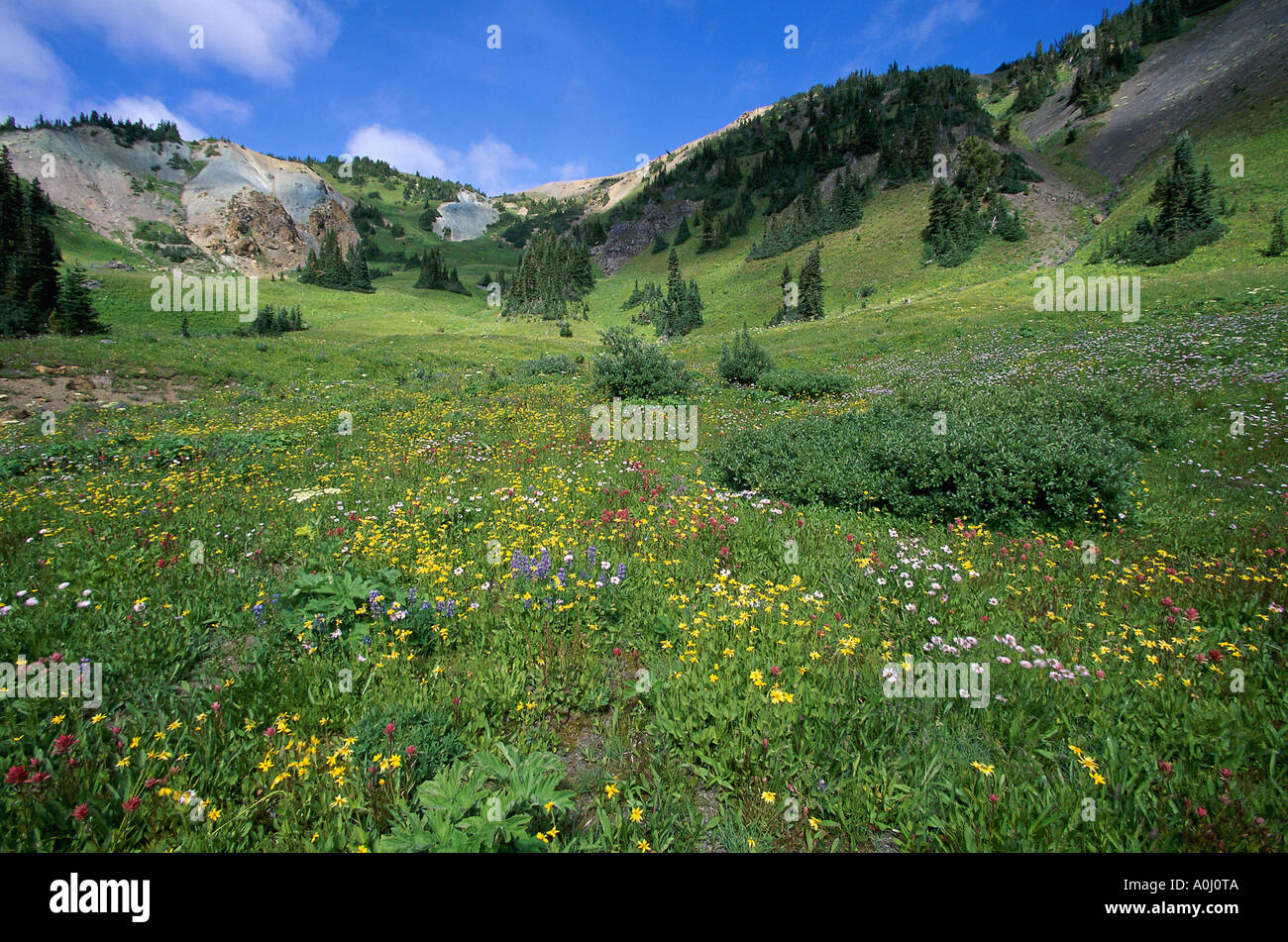 Chilcotin range hi-res stock photography and images - Alamy