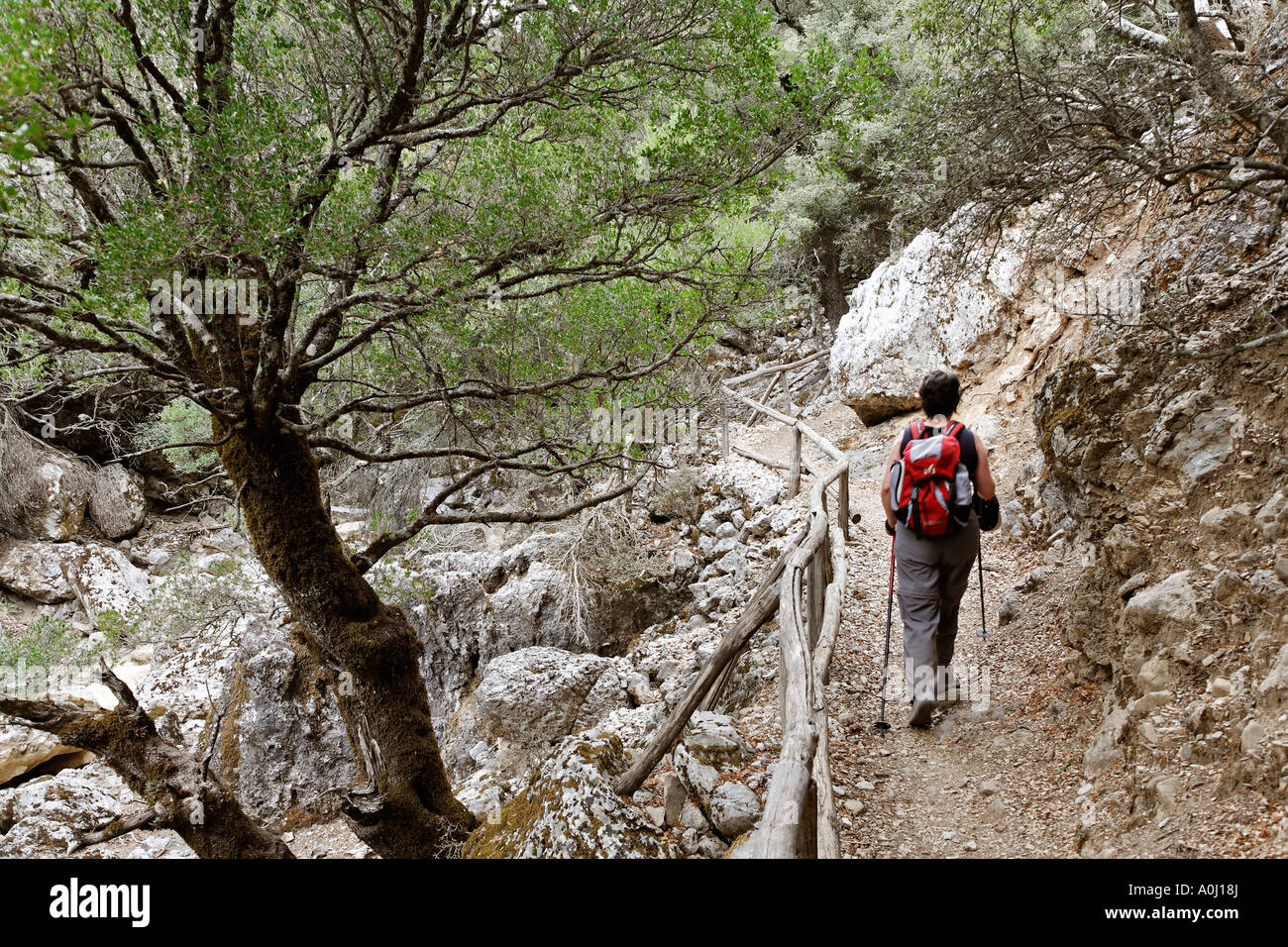 Rouvas hi-res stock photography and images - Alamy