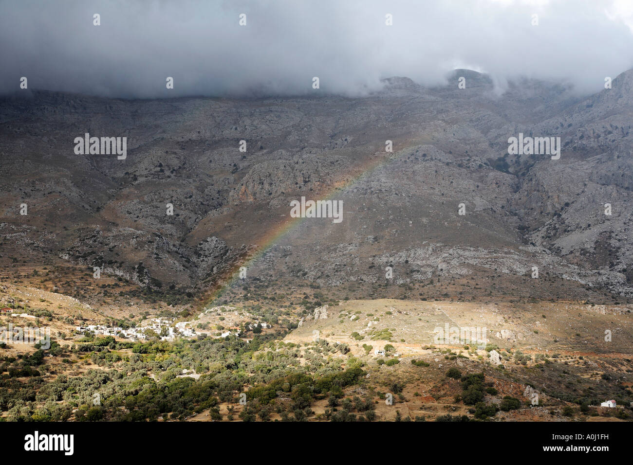 Platanes crete hi-res stock photography and images - Alamy