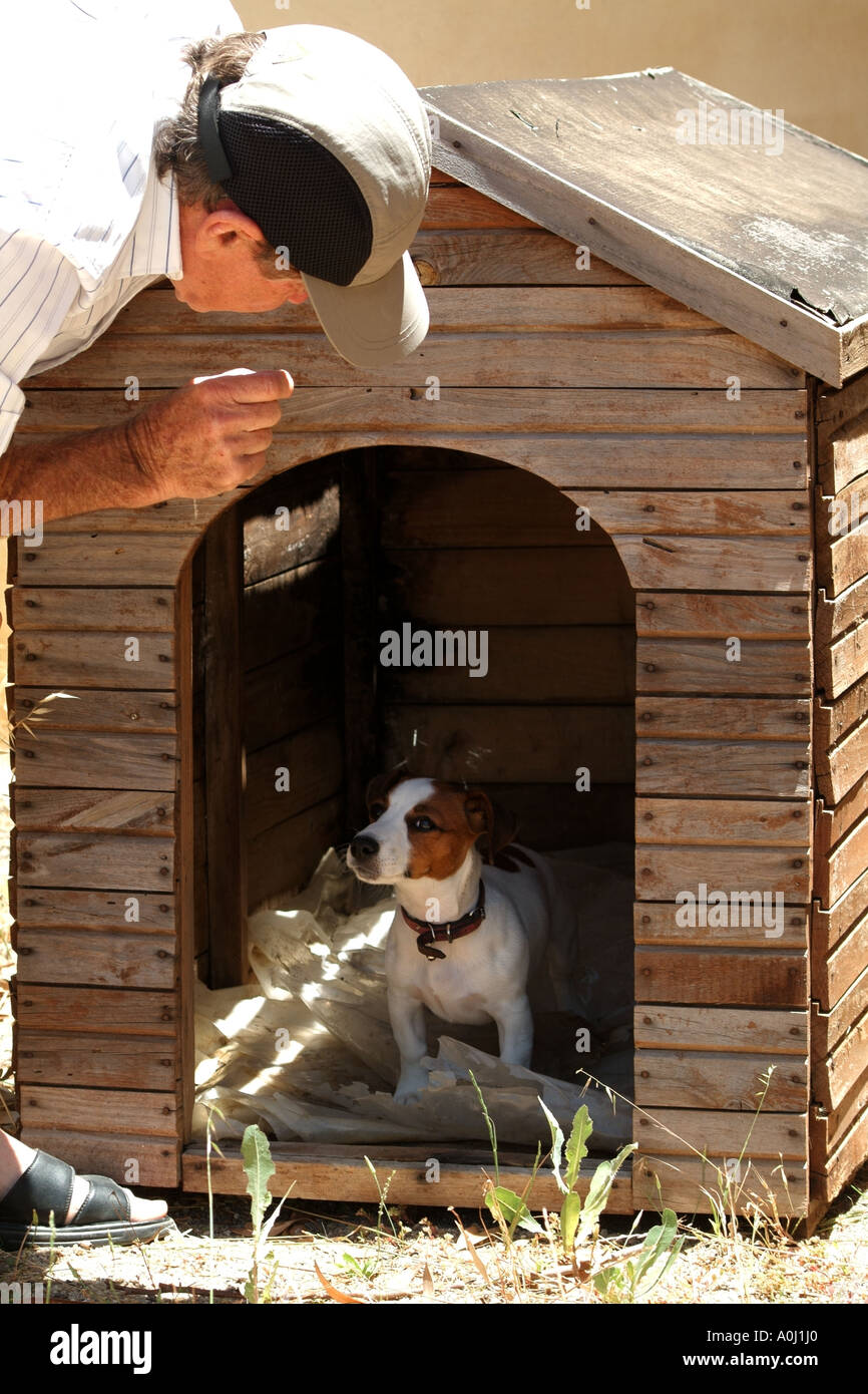 Jack Russell dog being trained by owner to live in large wooden dog ...