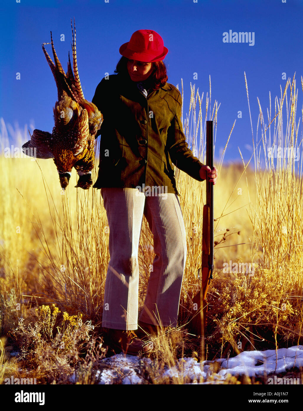 Hunter birds hi-res stock photography and images - Alamy