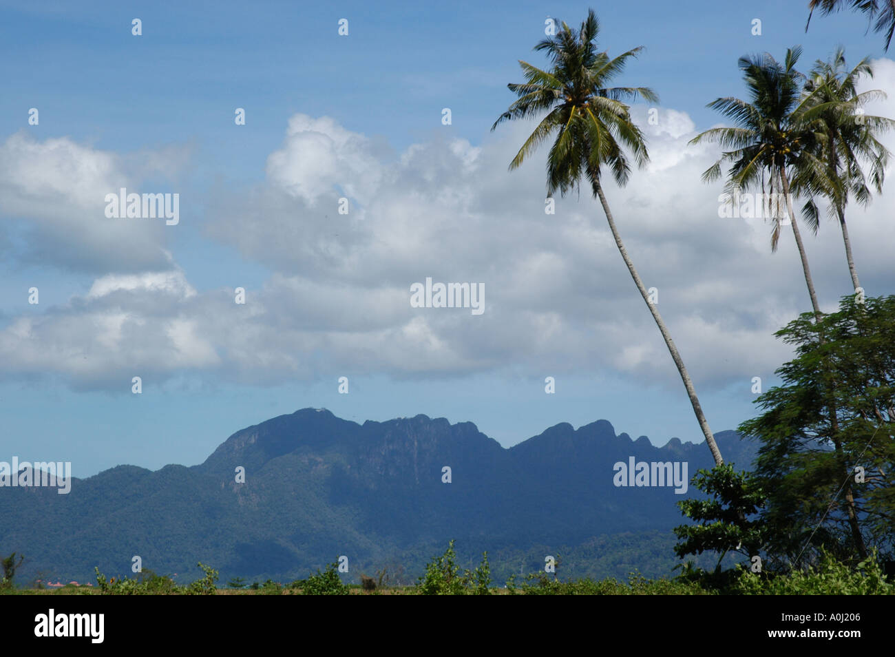 Chinchang Mountains Langkawi Malaysia Stock Photo - Alamy