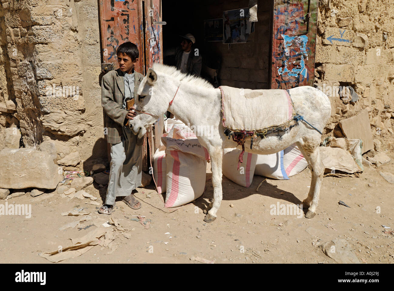 Boy with donkey, Habbaba, Yemen Stock Photo - Alamy