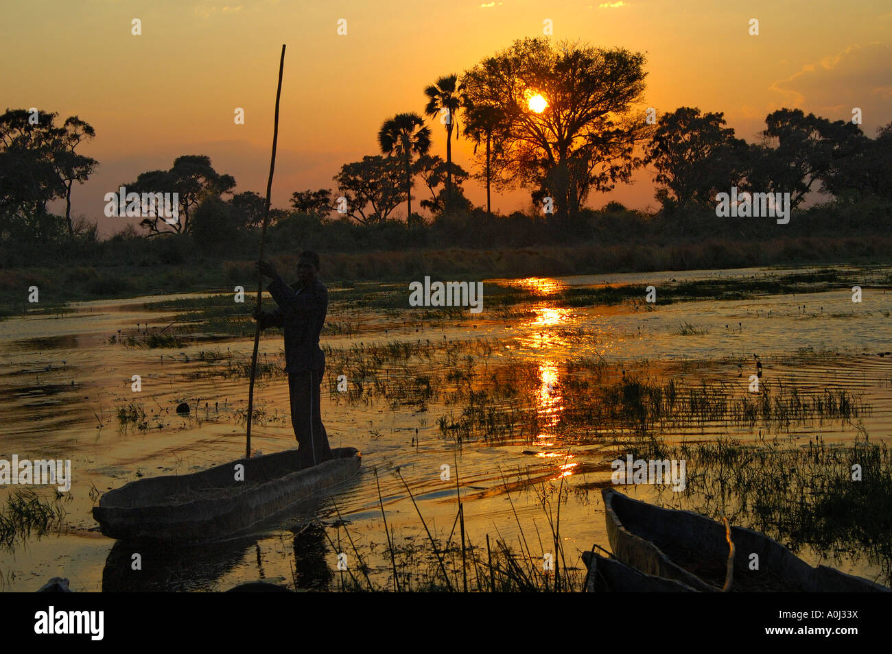 Okavango delta swamp landscape hi-res stock photography and images - Alamy