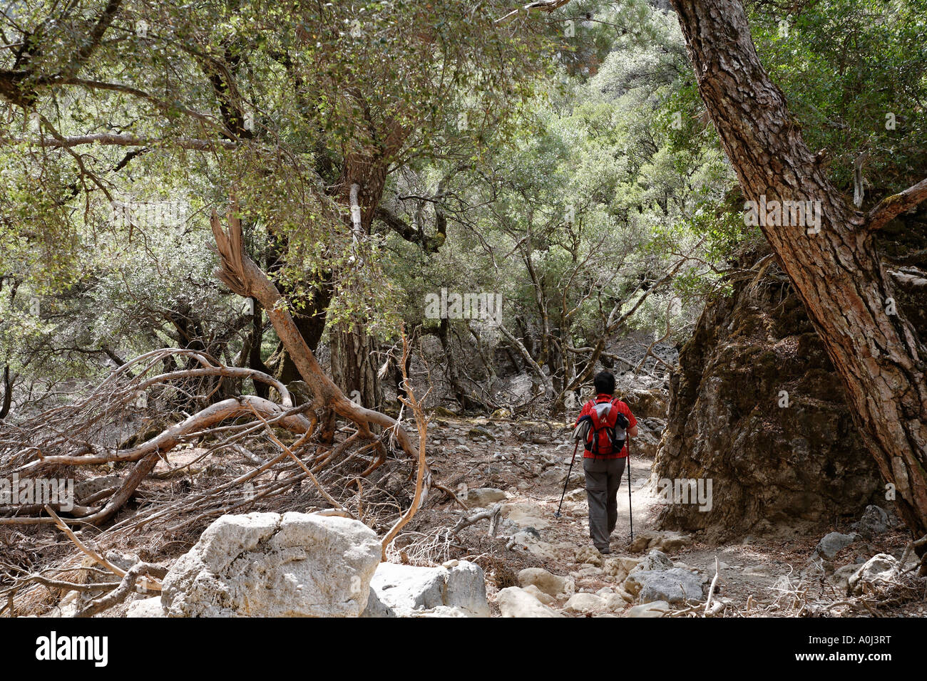 Rouvas hi-res stock photography and images - Alamy