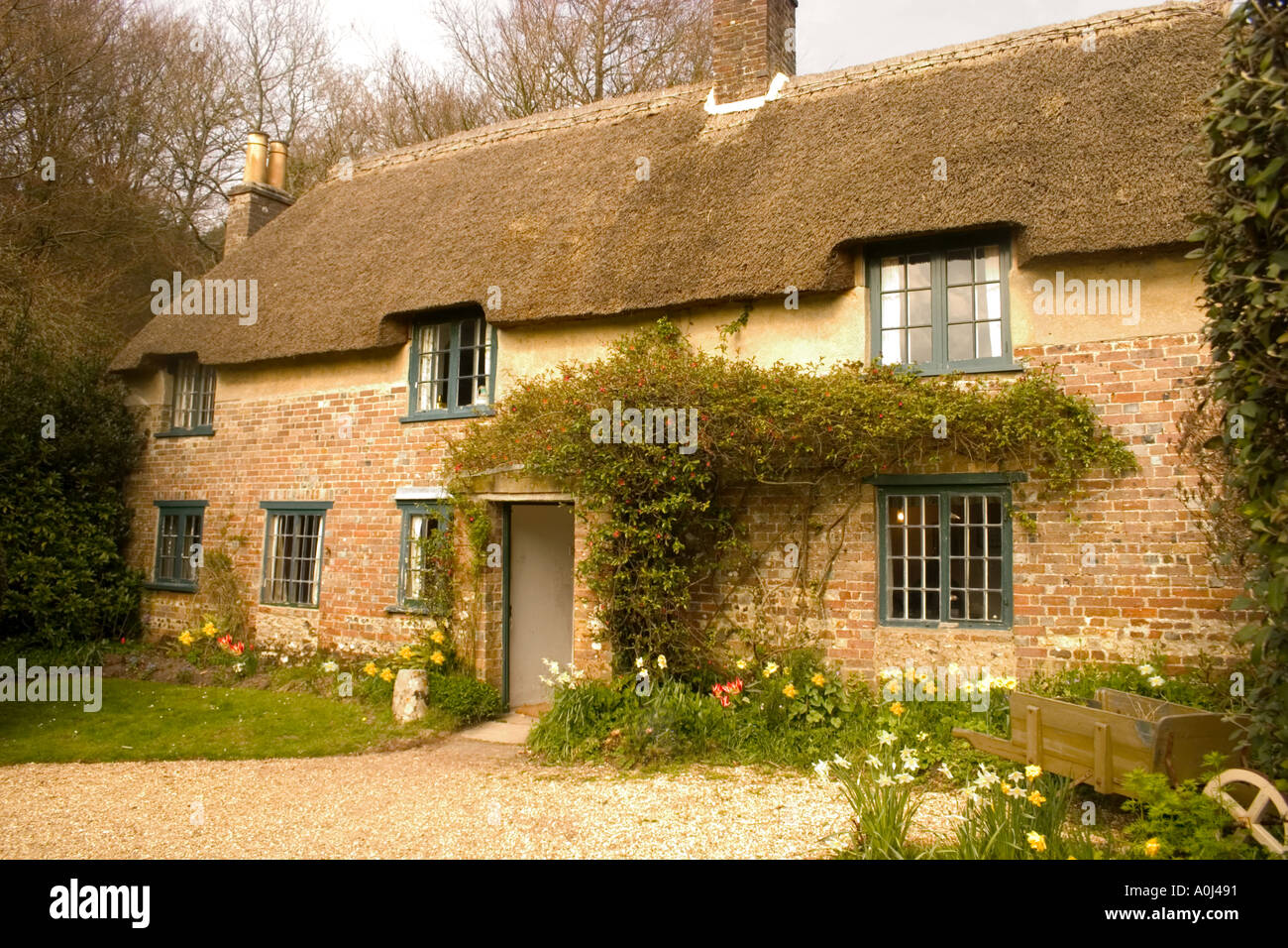 Thomas hardy cottage hi-res stock photography and images - Alamy