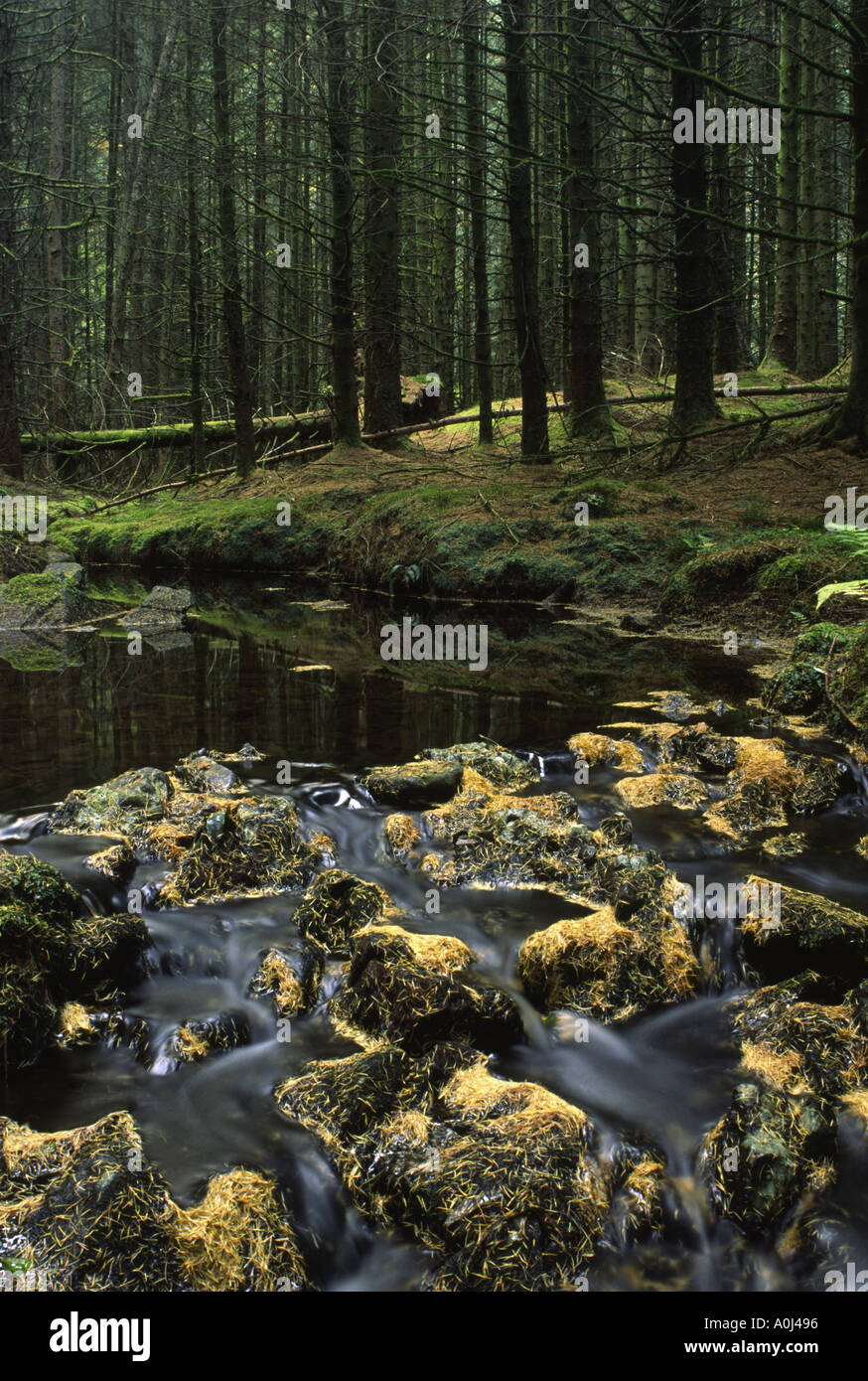 Loch trool walk hi-res stock photography and images - Alamy