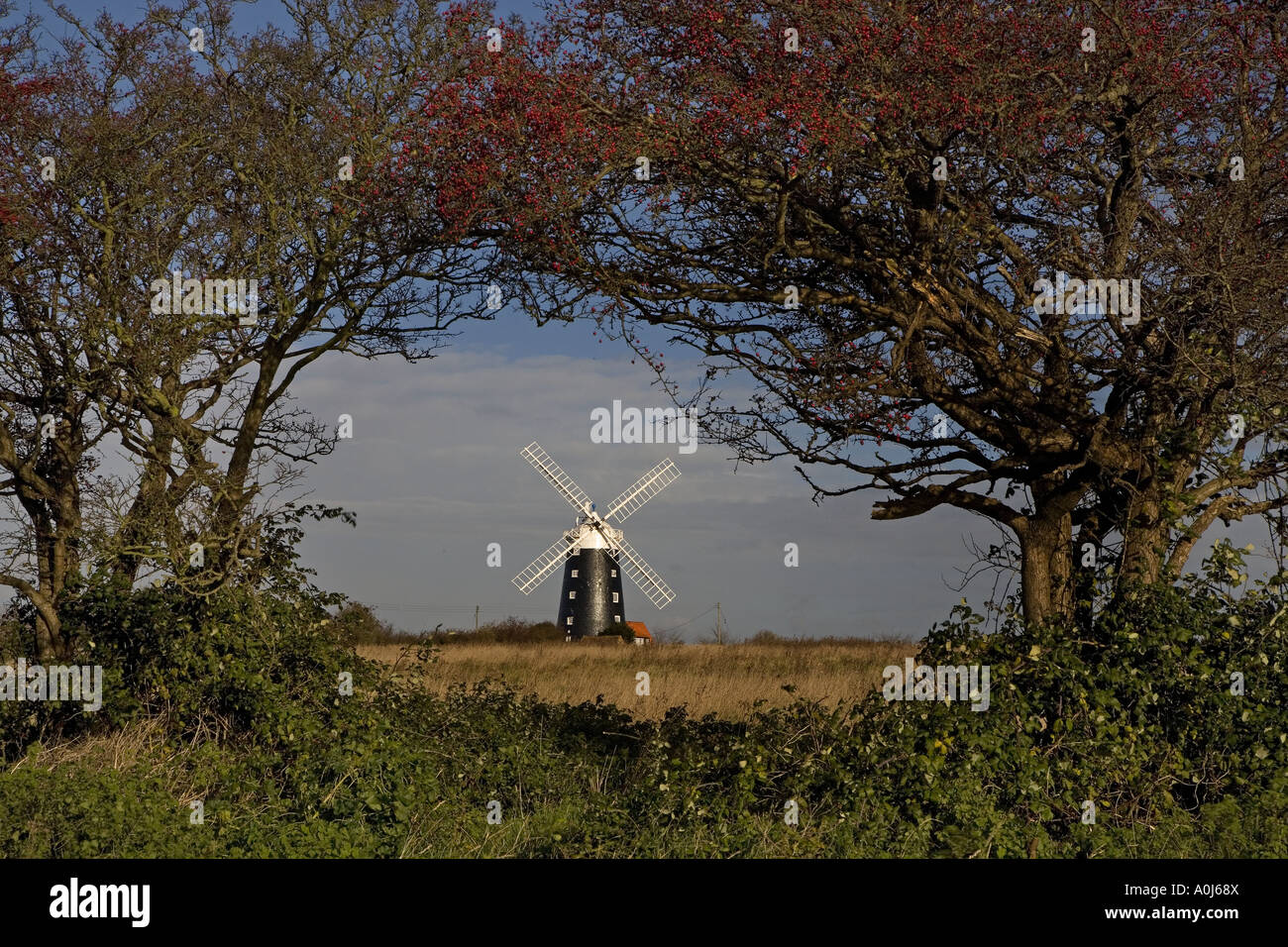 Burnham Overy Windmill North Norfolk UK Stock Photo - Alamy
