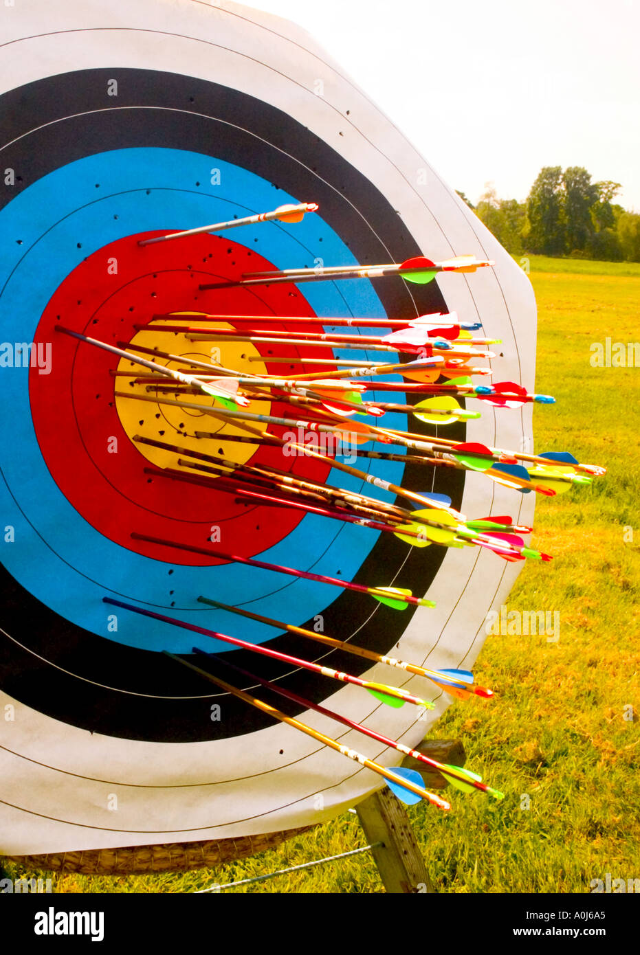 Archery Bulls Eye Stock Photo - Alamy