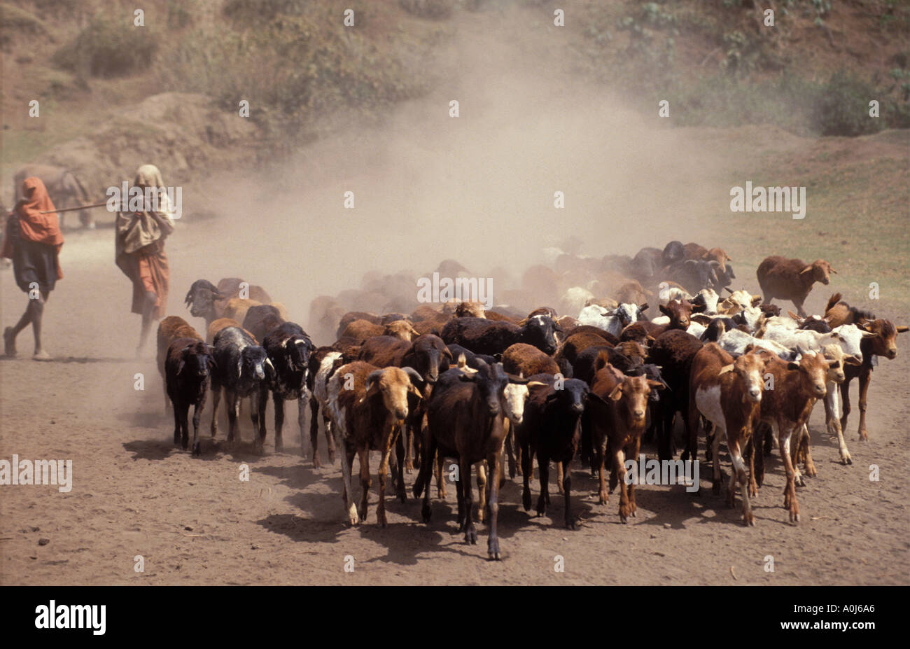 Meru District High Resolution Stock Photography and Images - Alamy