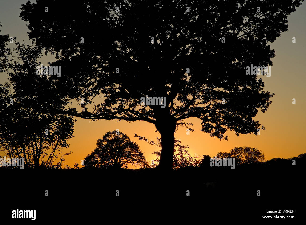Pretty farming landscape hi-res stock photography and images - Alamy
