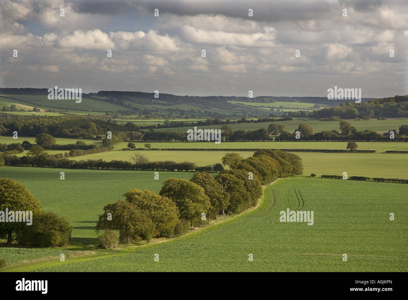Ivinghoe hills hi-res stock photography and images - Alamy