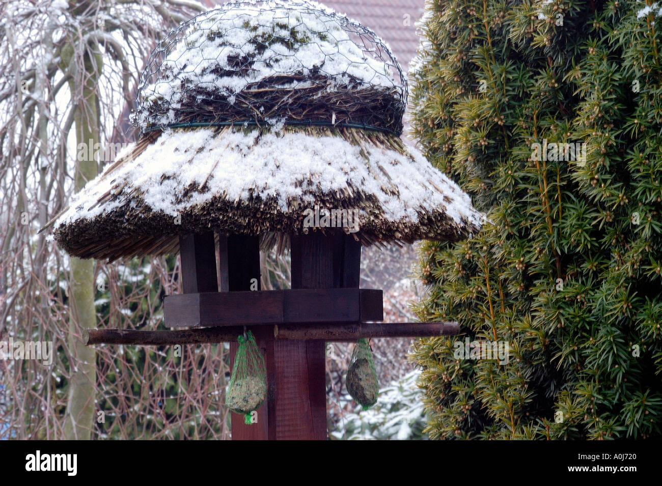 Snow covered aviary Stock Photo - Alamy