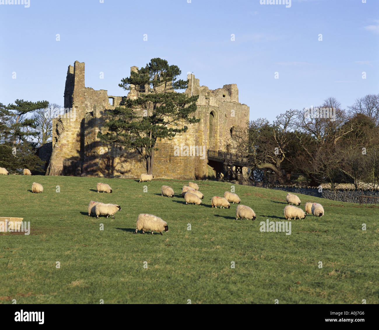 Dirleton hi-res stock photography and images - Alamy
