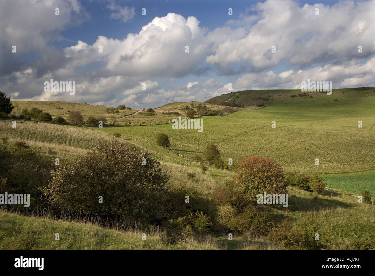 Ivinghoe hills hi-res stock photography and images - Alamy
