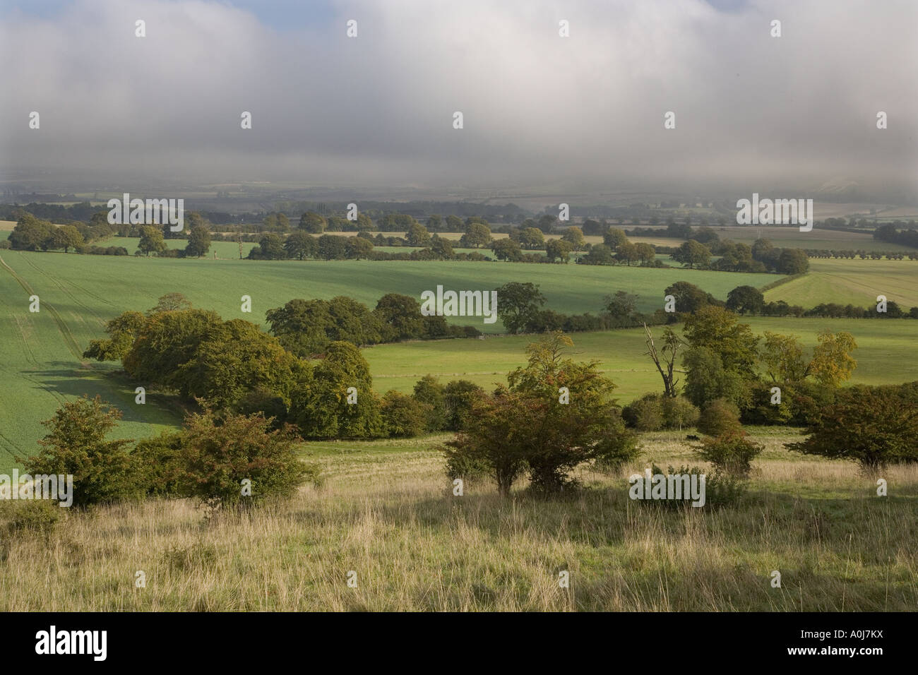 Ivinghoe Hills towards Whipsnade Beds Buckinghamshire Borders Stock ...