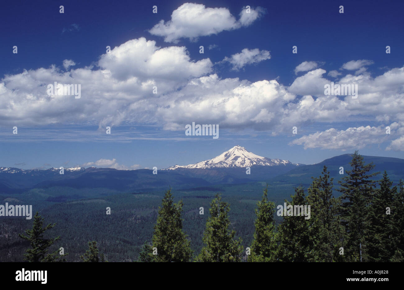 Mount Jefferson and Deschutes National Forest Cascade Mountains Oregon ...