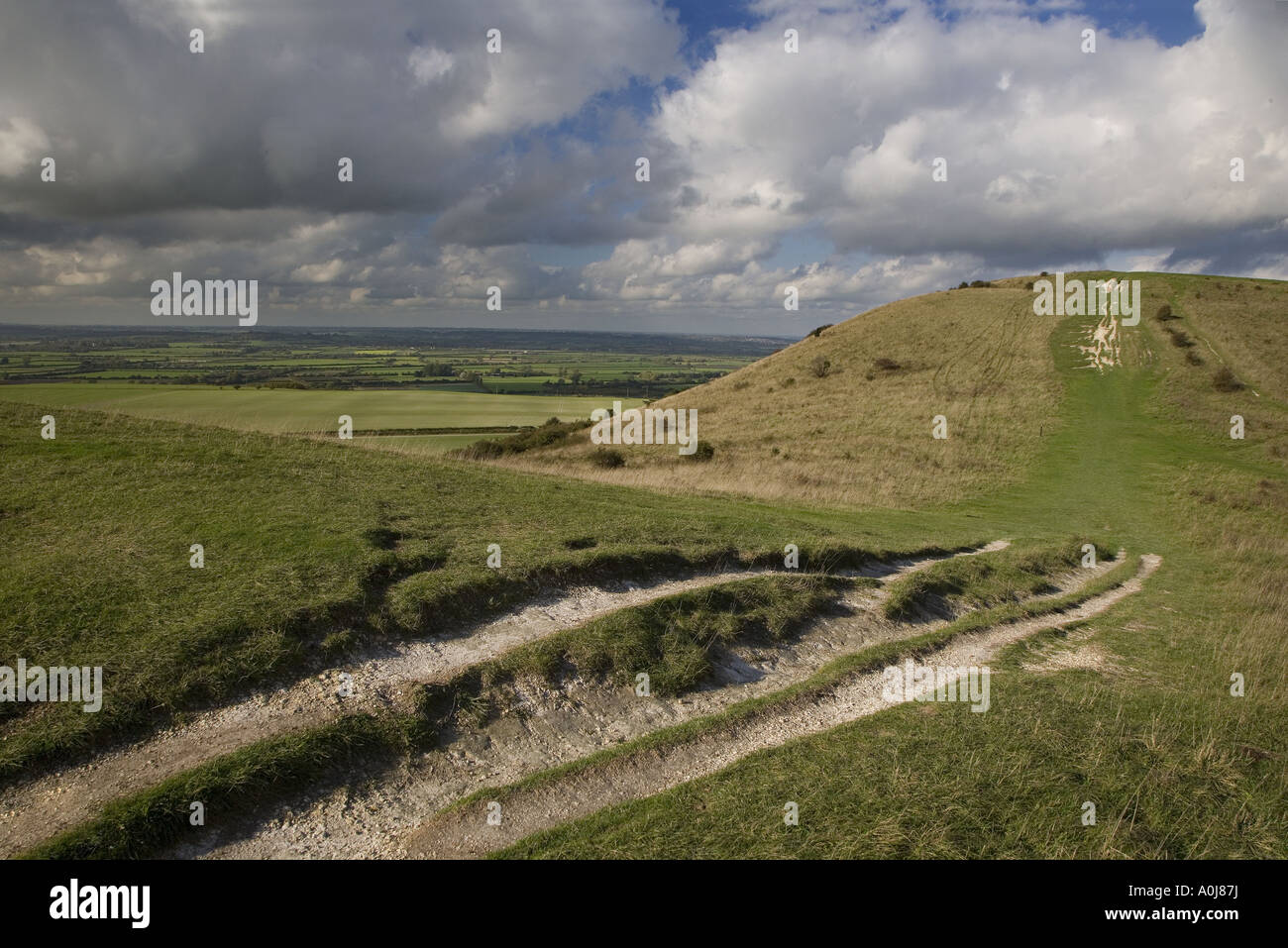 The Ridgeway Long distance path at Ivinghoe Beacon in the Chiltern ...