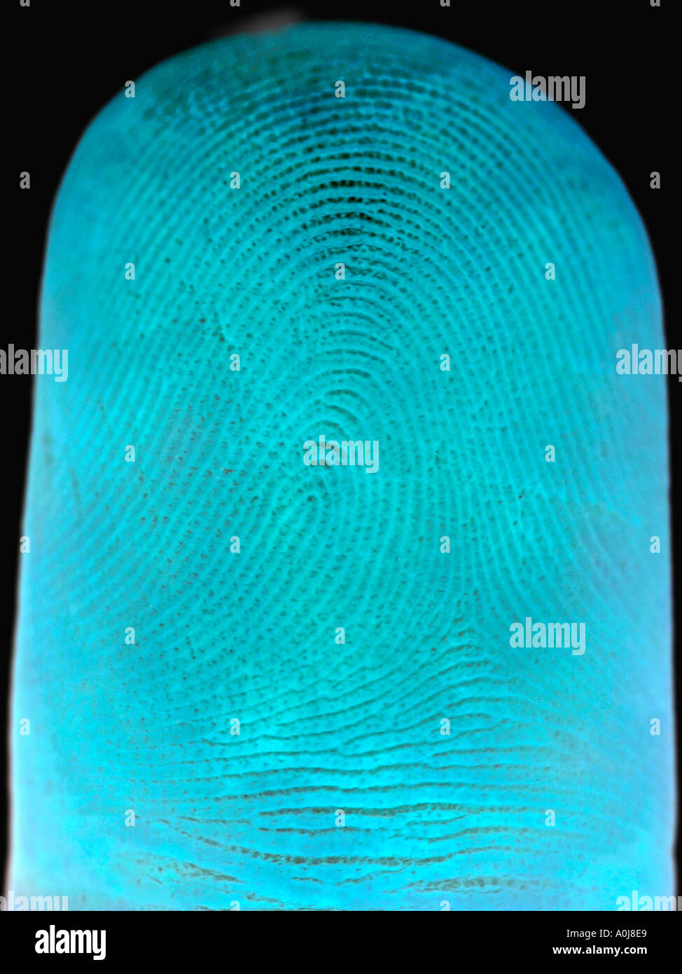 Simulated computer enhancement of a man's thumbprint Stock Photo - Alamy