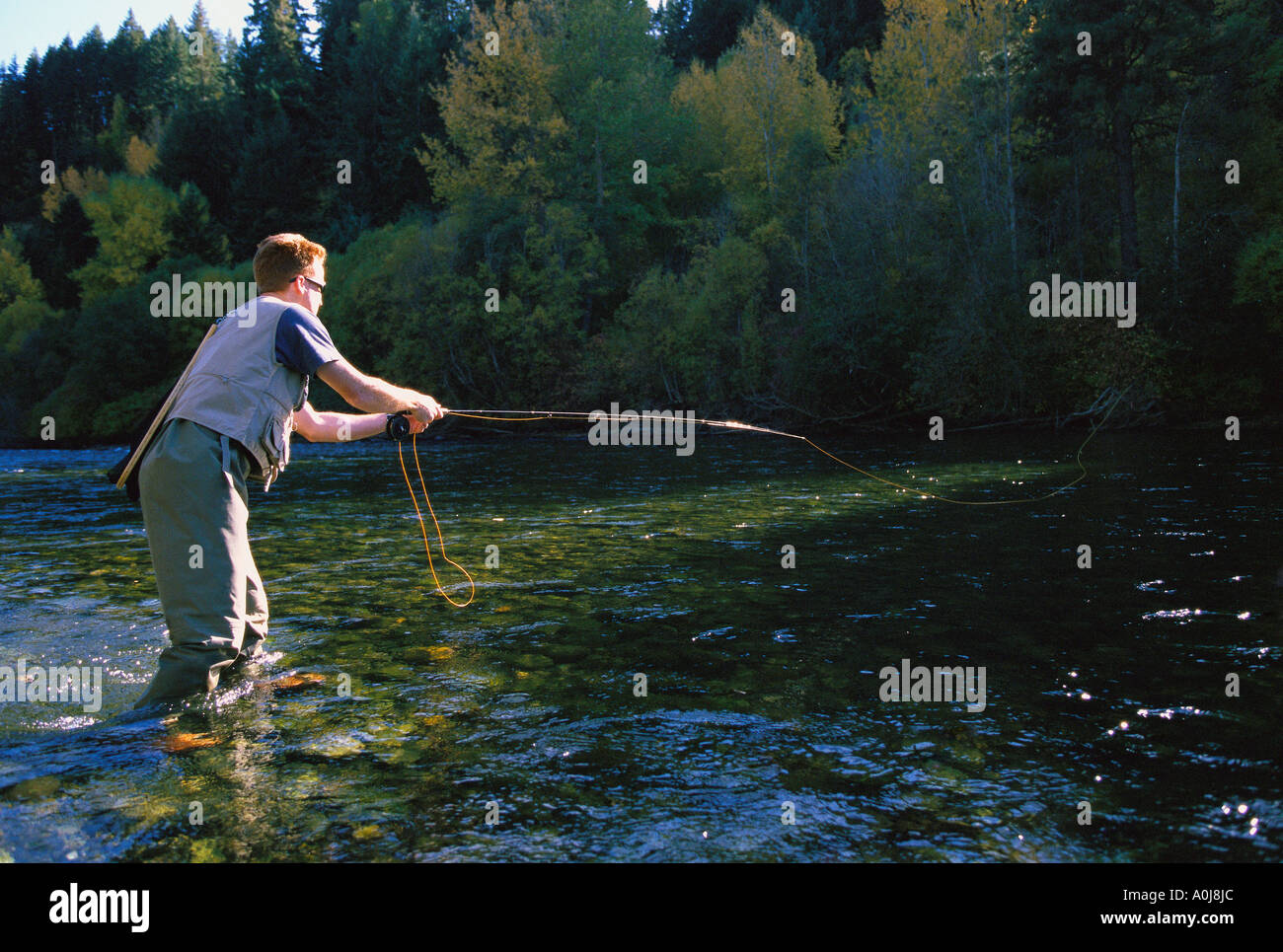 Man fly fishing in river Stock Photo - Alamy