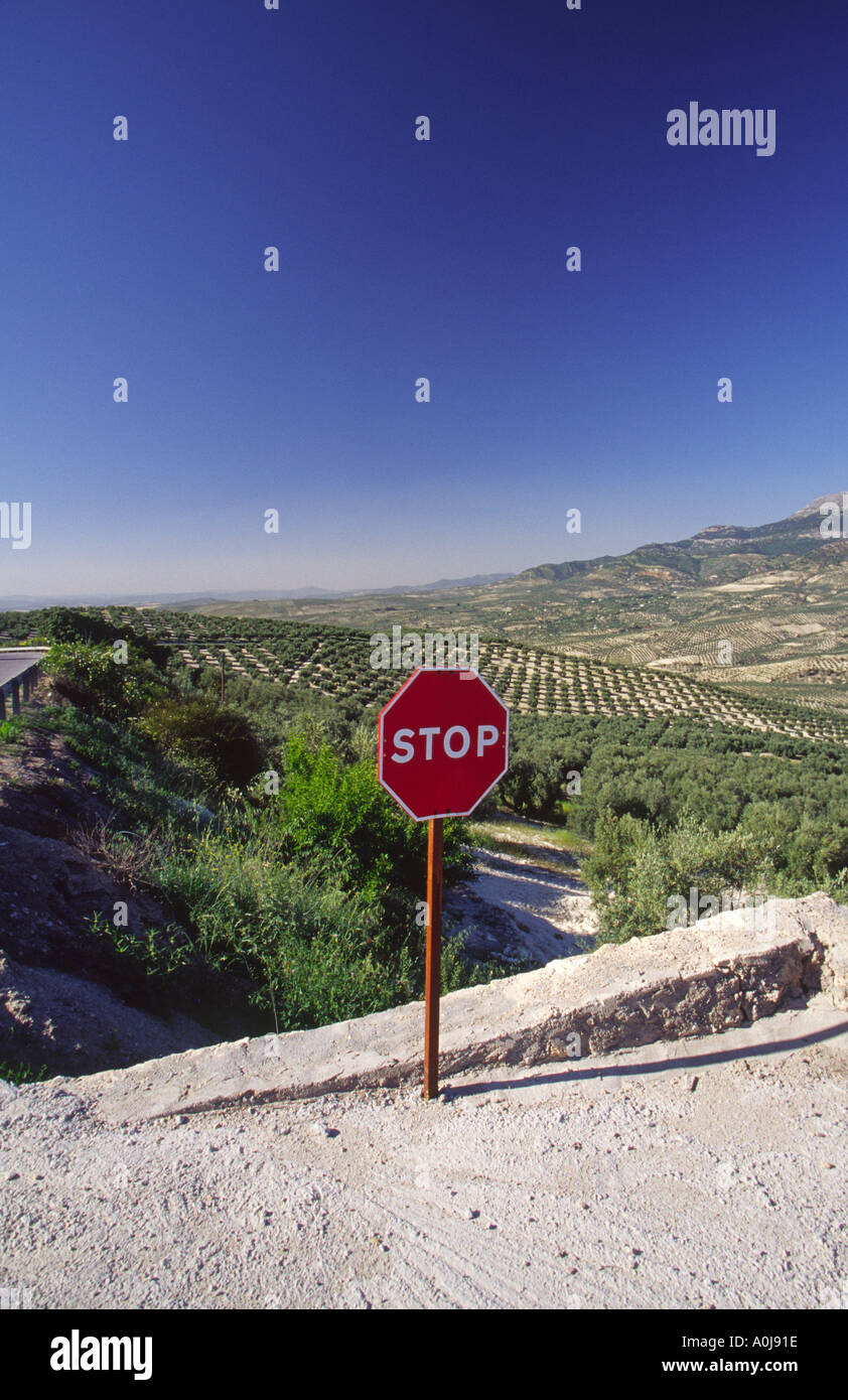 stop sign at the end of a road Stock Photo - Alamy